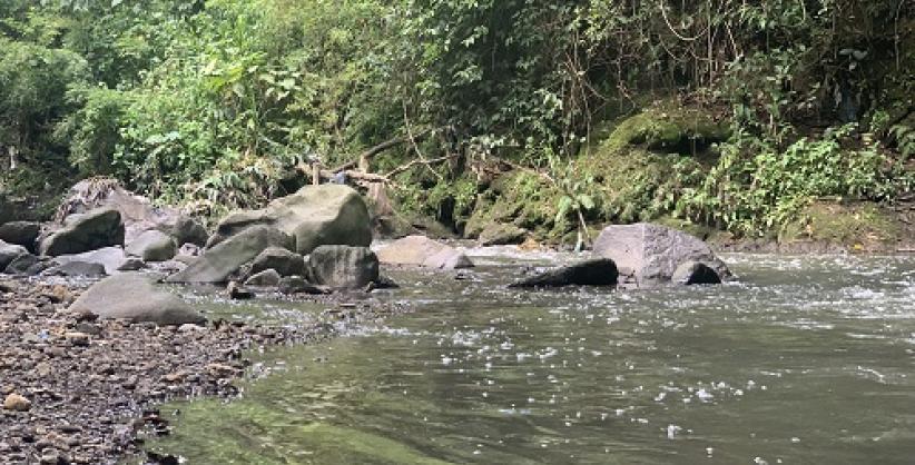 Galerías de fotografías | Biodiver_ City San José